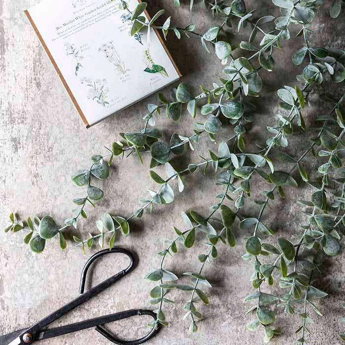 Eucalyptus Trailing Stem (Long) - Artificial Flower – TUCK